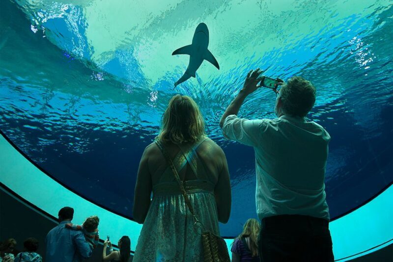 Miami: Frost Museum of Science and Planetarium Entry Ticket - Review Highlights from Visitors