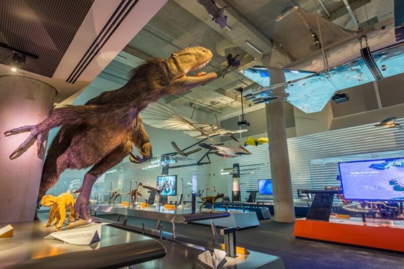 Miami: Frost Museum of Science and Planetarium Entry Ticket - Final Thoughts: Is It Worth It?