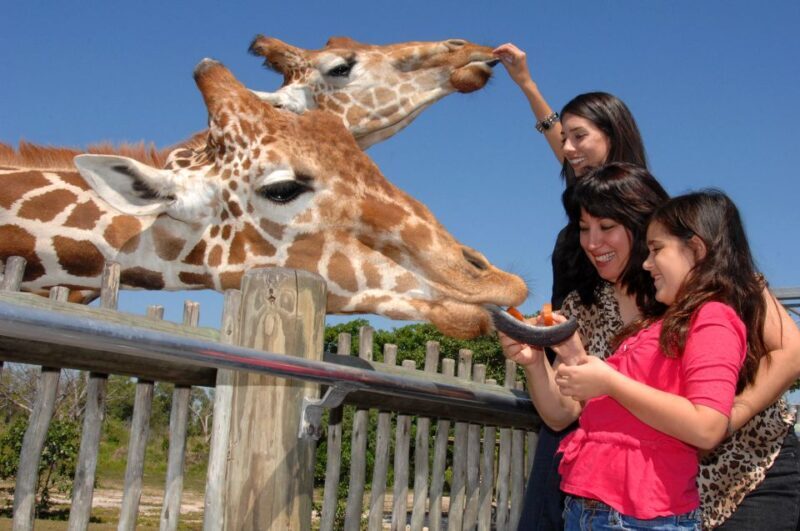 Miami: Go City Explorer Pass - Choose 2 to 5 Attractions - FAQ