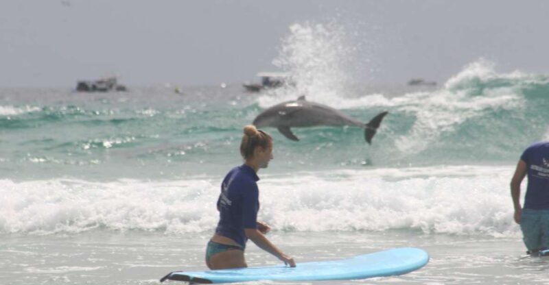 Miami: Group Surf Lesson - An In-Depth Look at the Gold Coast Surf Lesson Experience