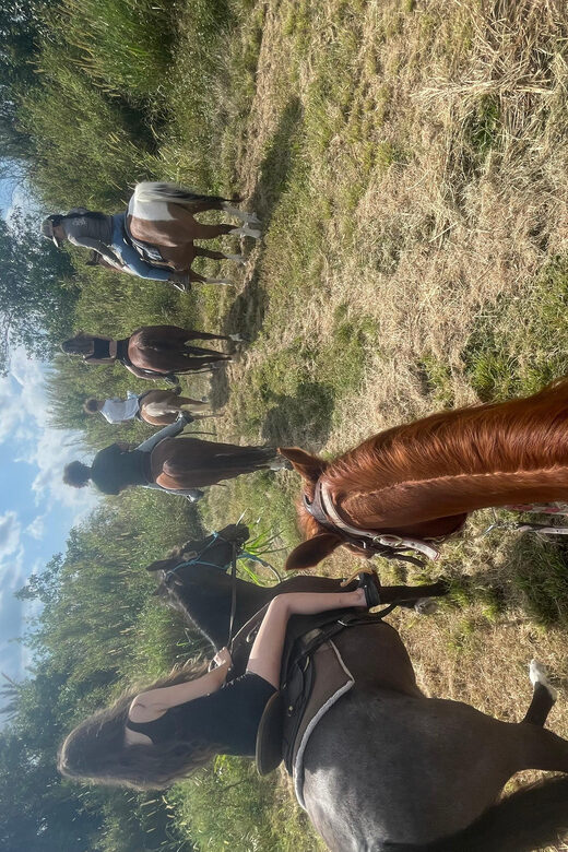 Miami: Guided Horseback Riding Tour - A Closer Look at the Experience