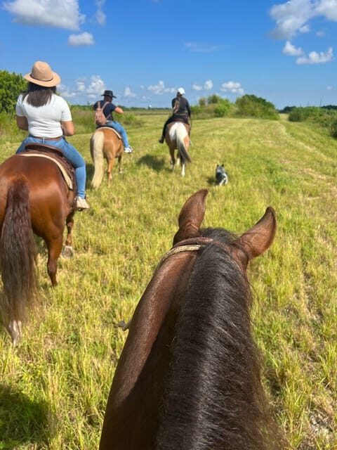 Miami: Guided Horseback Riding Tour - Who Should Consider This Tour?