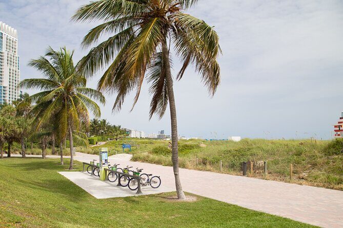 Miami : Highlights Private Bike Tour With A Guide (Private Tour) - Introduction
