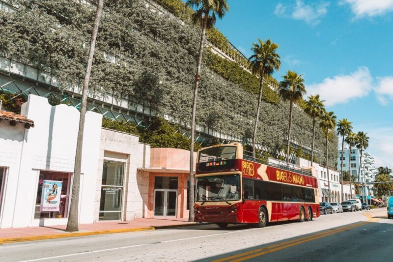 Miami: Hop-on Hop-off Open-top Bus Tour and Optional Cruise - Authentic Experiences and Real Traveler Insights