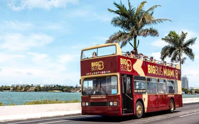 Miami: Hop-on Hop-off Open-top Bus Tour with Optional Cruise - An In-depth Look at the Tour Experience