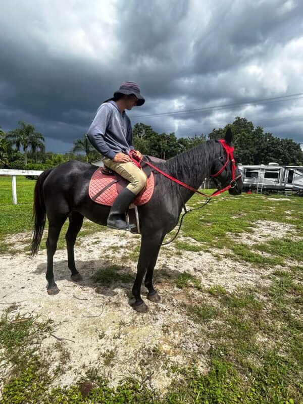 Miami: Horseback Riding Tour with Instructor - What Is This Tour All About?