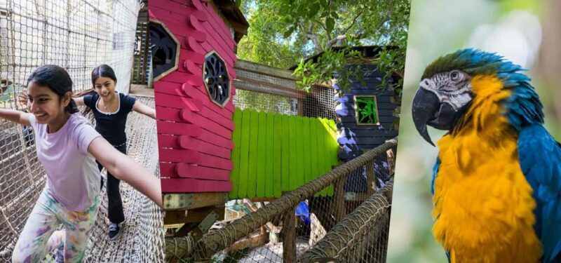 Miami: Jungle Island General Admission - Exploring the Park: What to Expect on Your Visit