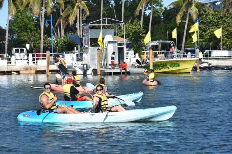 Miami: Kayak or Paddleboard Rental - The Itinerary: What to Expect