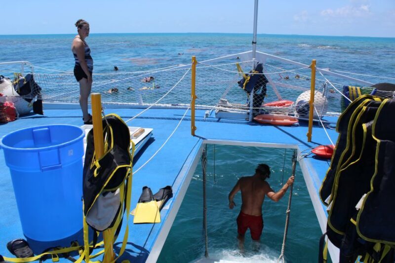Miami: Key West Boat Tour w/ Optional Snorkeling & Open Bar - Who Will Love This Tour?
