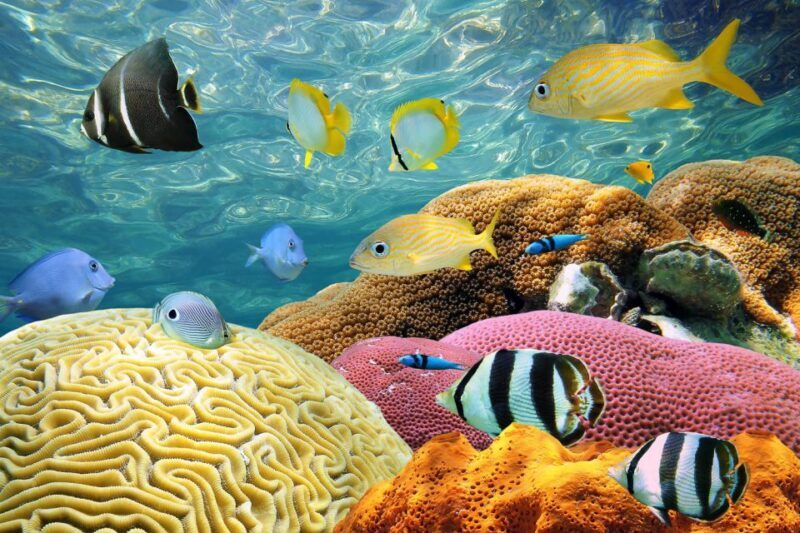 Miami: Key West Day Trip with pickup and boating options - Authentic Experiences Backed by Traveler Reviews