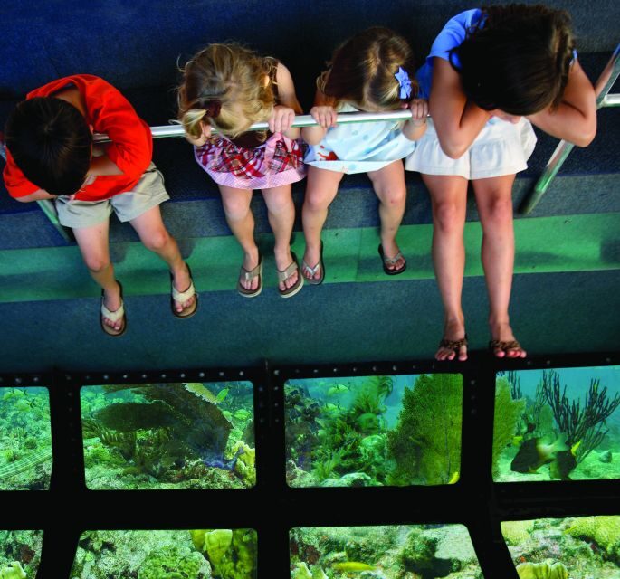Miami: Key West Dolphin Watch or Snorkel Boat with pickup - Practical Tips for Your Day Trip