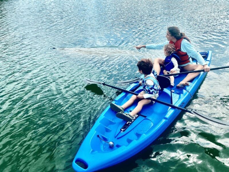 Miami: Manatee Season Paddleboard or Kayak Tour - A True Balance of Adventure and Relaxation