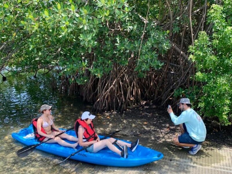 Miami: Manatee Season Paddleboard or Kayak Tour - The Sum Up
