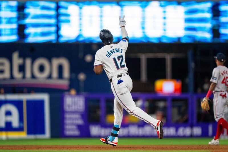 Miami Marlins Baseball Game Ticket at LoanDepot Park - Who Is This Tour Best For?