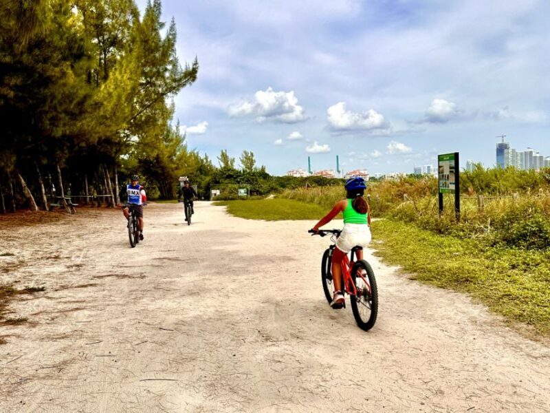 Miami: Mountain Bike Rental on Virginia Key Trails - The Experience in Detail