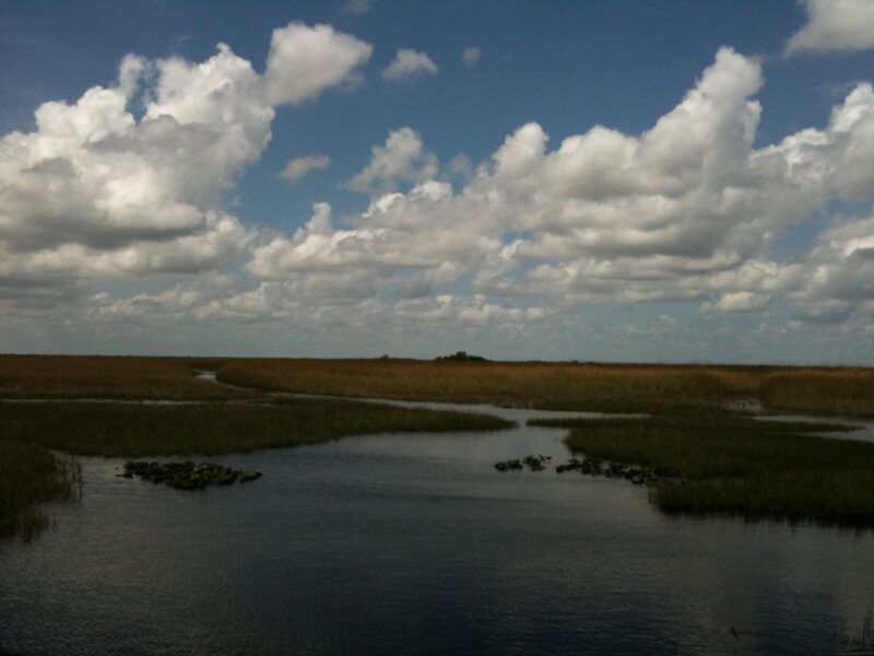 Miami: Original Everglades Airboat Tour & Alligator Exhibit - The Experience from Visitors’ Perspective