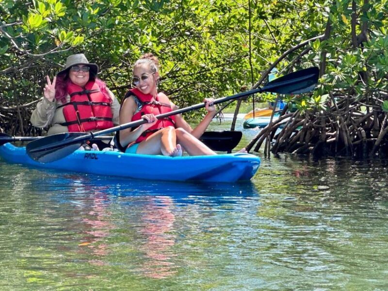 Miami: Paddle Board or Kayak Rental in Virginia Key - An In-Depth Look at the Experience