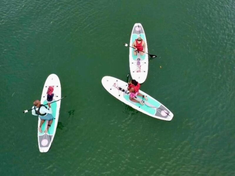 Miami: Paddle Board or Kayak Rental in Virginia Key - What’s Included & What to Bring
