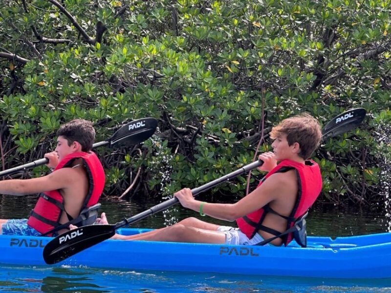 Miami: Paddle Board or Kayak Rental in Virginia Key - Who Should Consider This?