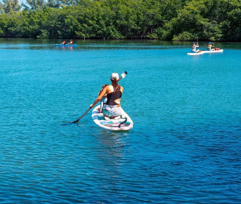 Miami: Paddle Board or Kayak Rental - PADL Beach Club - Equipment & Comfort: What’s Included and What You Should Bring