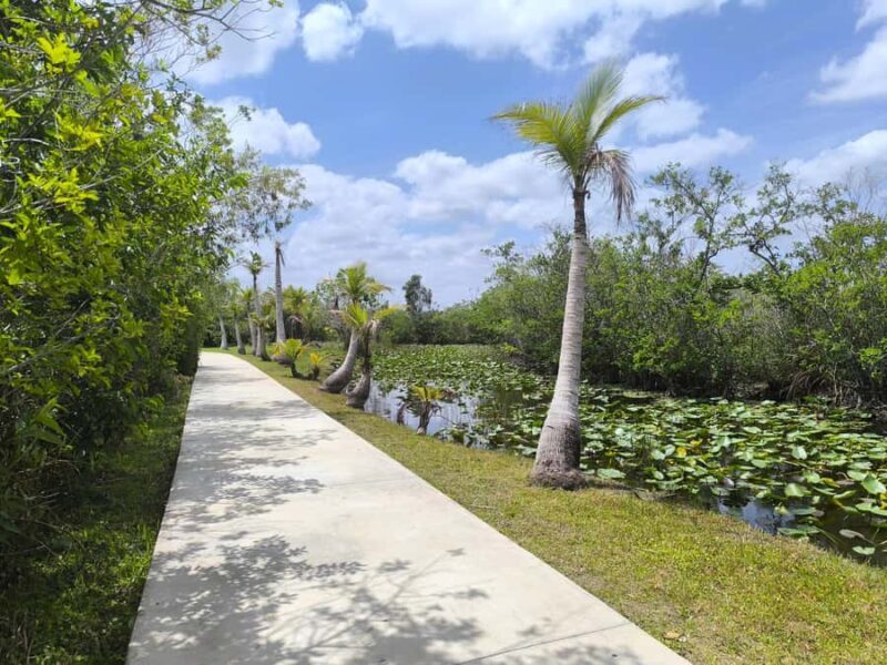 Miami: Private Everglades Tour in French in a Convertible Mustang - Why Travelers Love This Tour