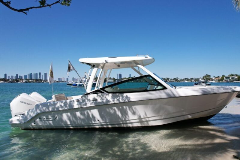 Miami: Private Star island, Miami Skyline & Miami River Tour - What is the Itinerary Like?