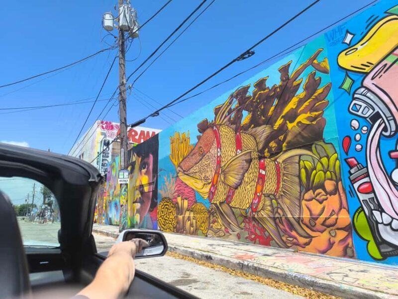 Miami: Private Tour in a Convertible Mustang (French) - Discovering Miami in a Mustang: A Practical Overview