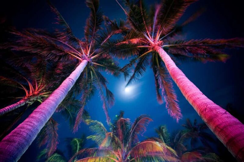 Miami Private Tour: Moonlight Magic Nightlife Experience - The Sum Up