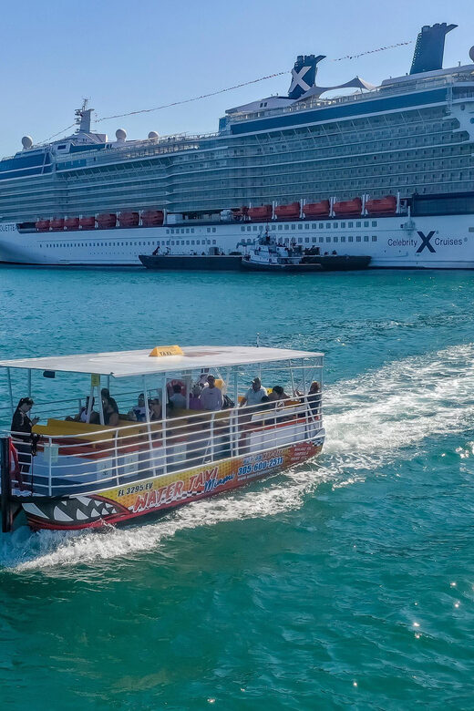 Miami: Skyline Boat Cruise, Millionaire homes & Miami Beach - A Closer Look at the Value