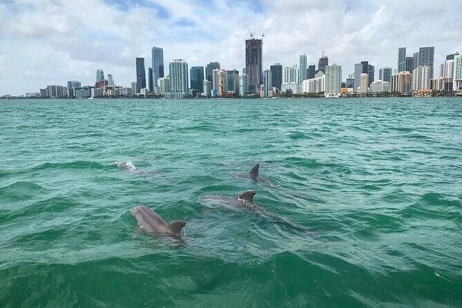 Miami Small Group Boat Tour: History, Wildlife, and Stiltsville - An In-Depth Look at the Miami Boat Tour
