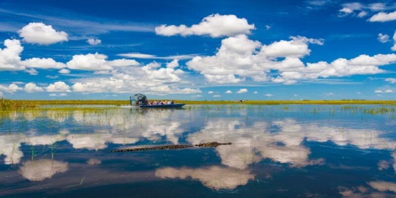 Miami: Small Group Everglades Express Tour with Airboat Ride - The Human Touch: Guides Make All the Difference