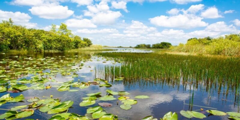 Miami: Small Group Everglades Express Tour with Airboat Ride - Final Thoughts