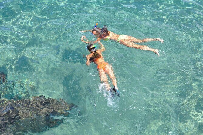 Miami: Snorkeling Experience - Key Points