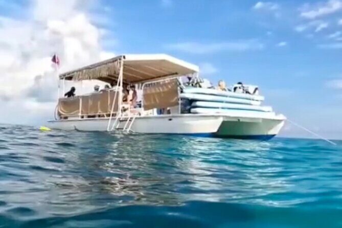 Miami: Snorkeling Experience - Final Thoughts: Is It Worth It?