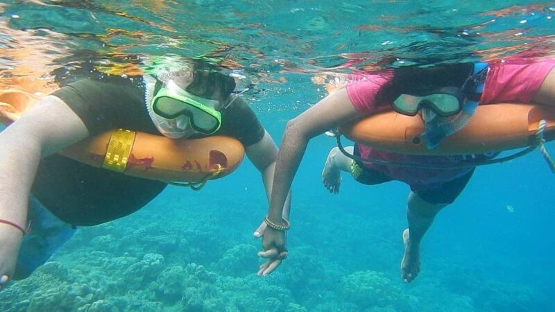 Miami Snorkeling for Beginners from Bayside Market Place - An In-Depth Look at the Tour Experience