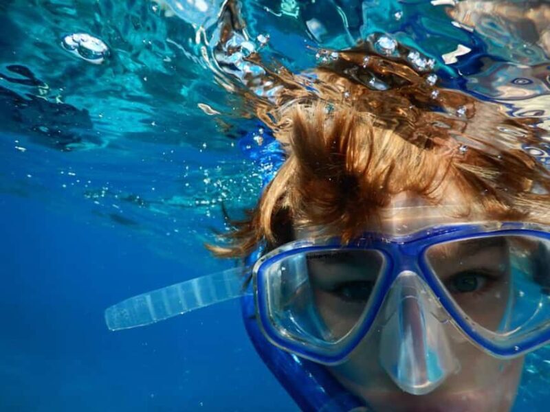 Miami Snorkeling for Beginners from Bayside Market Place - The Pros and Cons