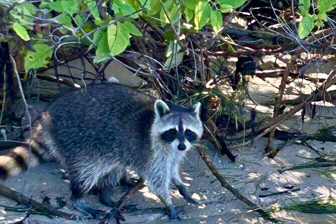 Miami: Sunset Boat Charter Cruise in a Formula Thunderbird - FAQ