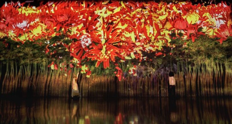 Miami: 'Superblue Miami' Immersive Art Experience Ticket - Pricing & Value Analysis