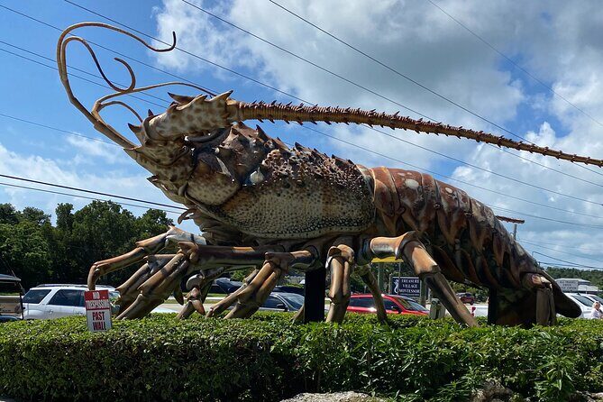 Miami to Key West with Islamorada Hop-Off + 6 Hours in Key West - Miami to Key West with Islamorada Hop-Off + 6 Hours in Key West — A Detailed Review