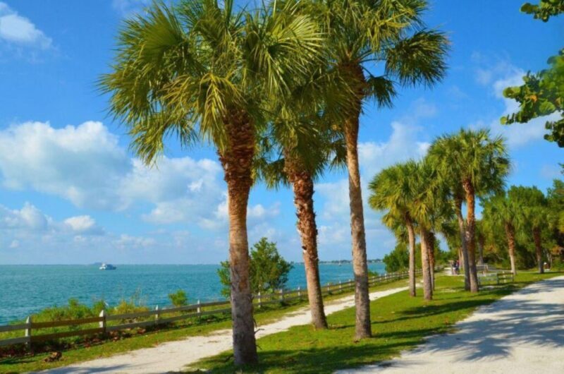 Miami: Visit to the Lighthouse - Key Biscayne - Brickell - An Overview of the Tour Experience