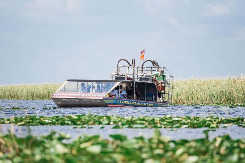 Miami: Wild Everglades Airboat Ride and Gator Encounters - Miami: Wild Everglades Airboat Ride and Gator Encounters — A Detailed Review