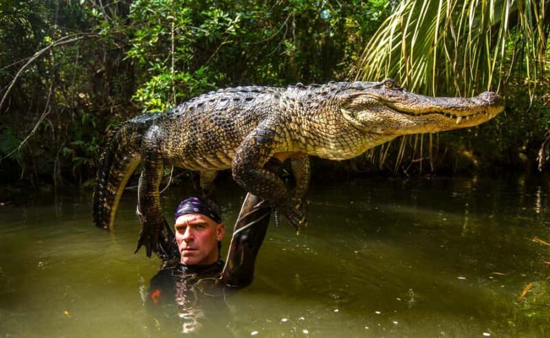 Miami: Wild Everglades Airboat Ride and Gator Encounters - Frequently Asked Questions