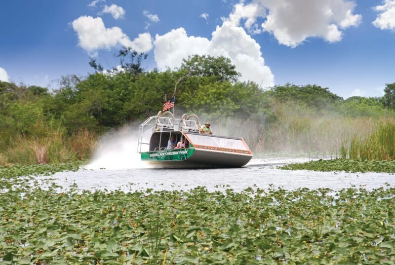 Miami: Wild Everglades Airboat Ride and Gator Encounters - What to Expect on Your Everglades Adventure