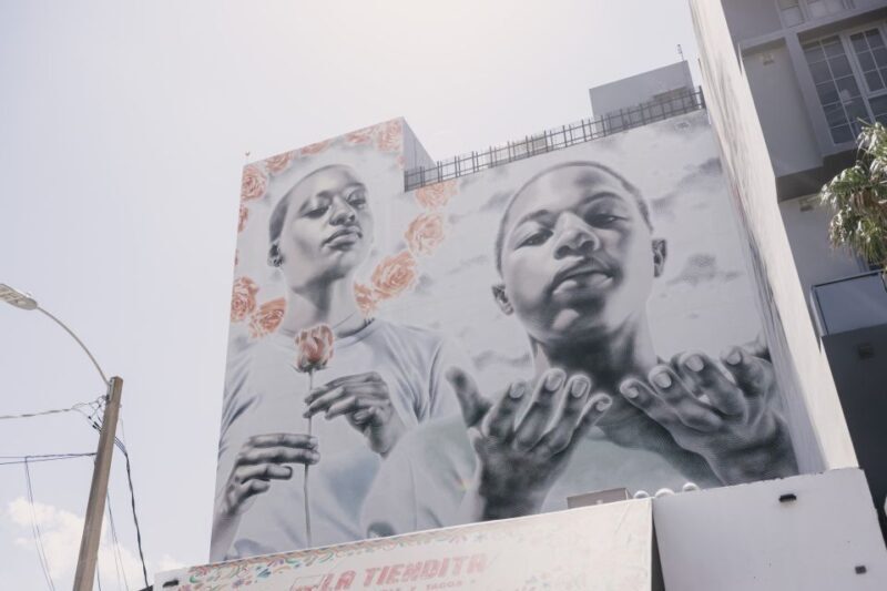 Miami: Wynwood Walking Tour - The Experience & Practicalities