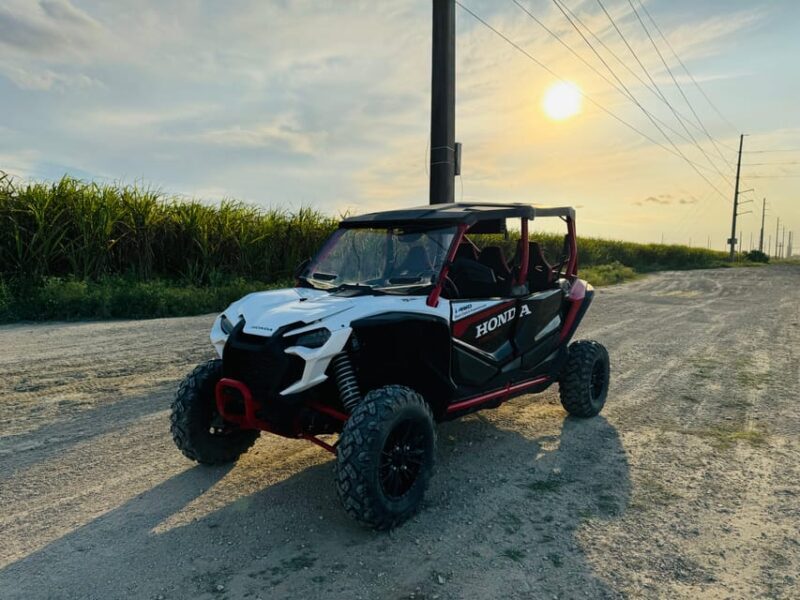 Miami's Ultimate Buggy Adventure on a Honda Talon UTV - An In-Depth Look at Miamis Ultimate Buggy Adventure