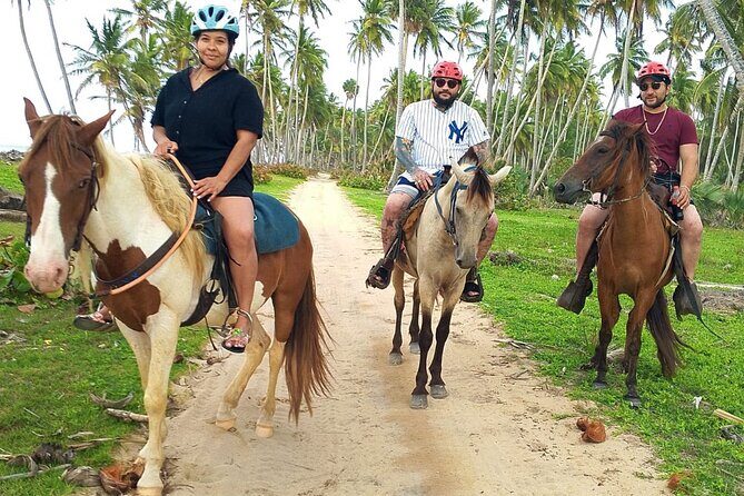 Miches Beach Horseback Riding - What to Expect from Miches Beach Horseback Riding