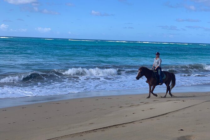 Miches Beach Horseback Riding - Final Thoughts