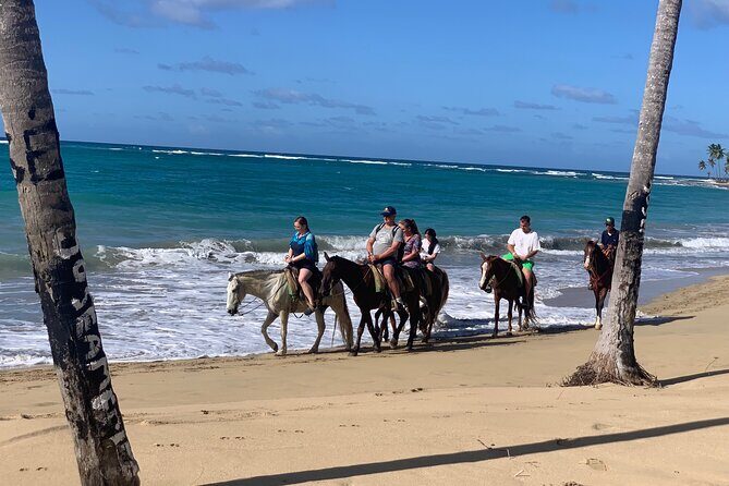 Miches Beach Horseback Riding - FAQ