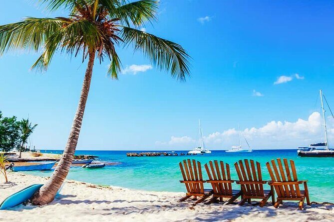 Miches Catamaran Boat to Saona Island with Buffet Lunch - What to Expect from the Miches Catamaran to Saona Island Tour