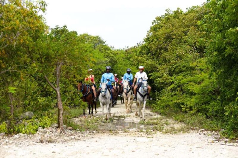 Miches: Laguna El Limón Kayak and Horseback Riding Tour - Practical Details: What to Expect and How to Prepare